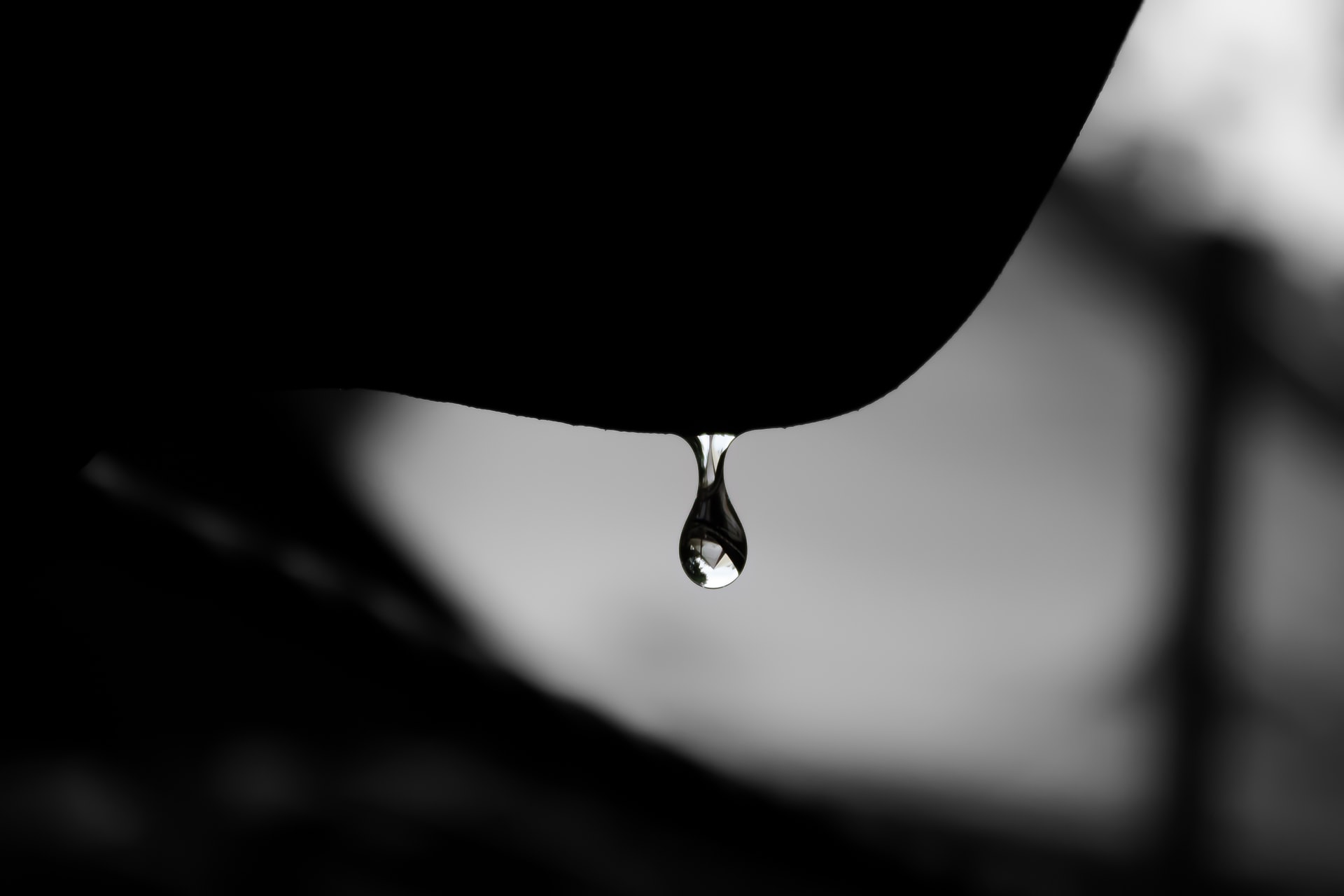 How To Guarantee A Leak Free Shower How To Guarantee A Leak Free Shower